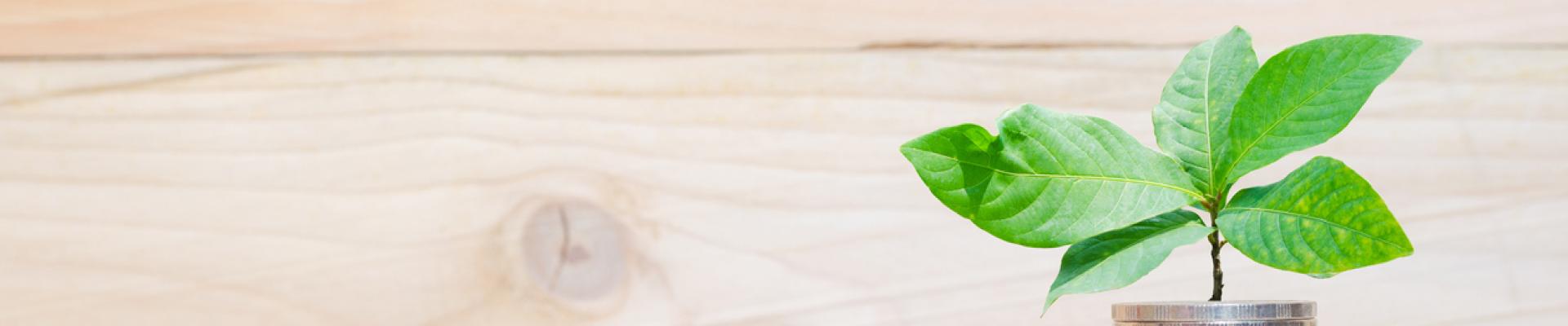 50 simple ways to make your life greener - Altus Consulting