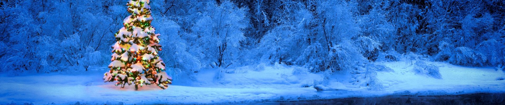 Christmas giving at Altus - Altus Consulting